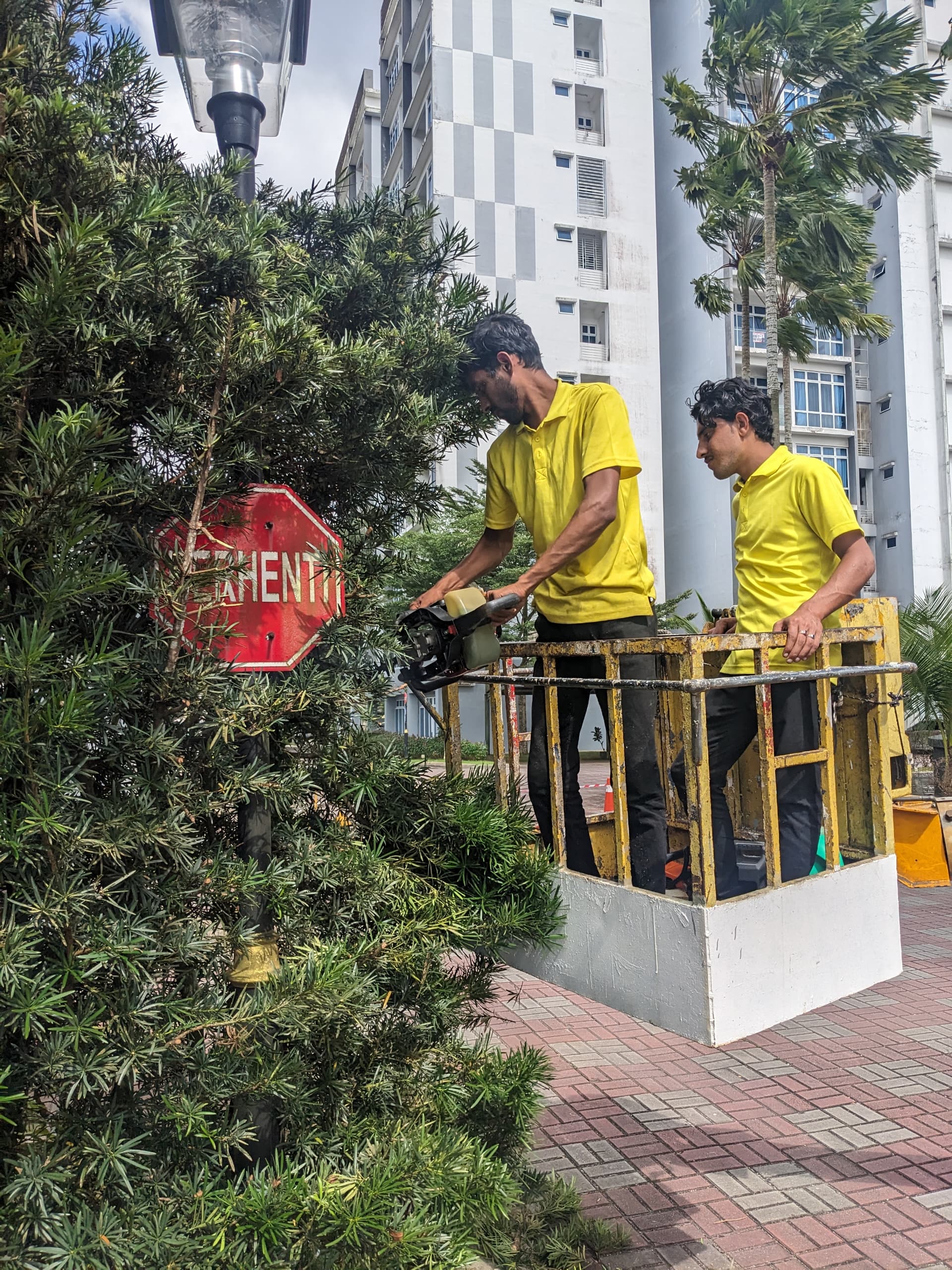 LANDSCAPE MAINTENANCE – PILLAR TRIBUTE ENVIRONMENT SDN BHD